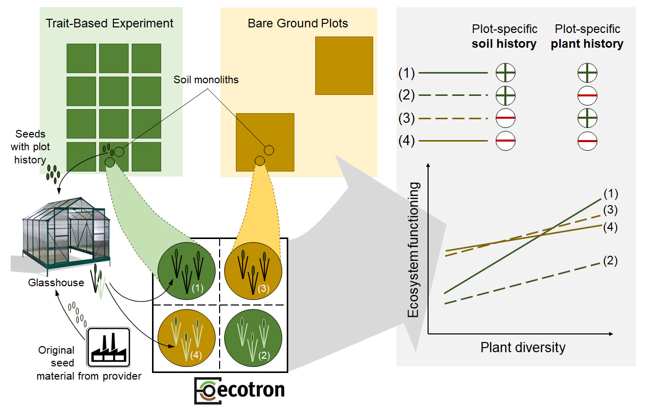 Pensoft Writing Tool