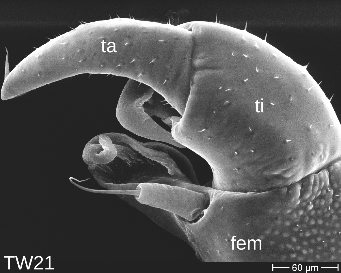 A first integrative study of the identity and origins of the British ...