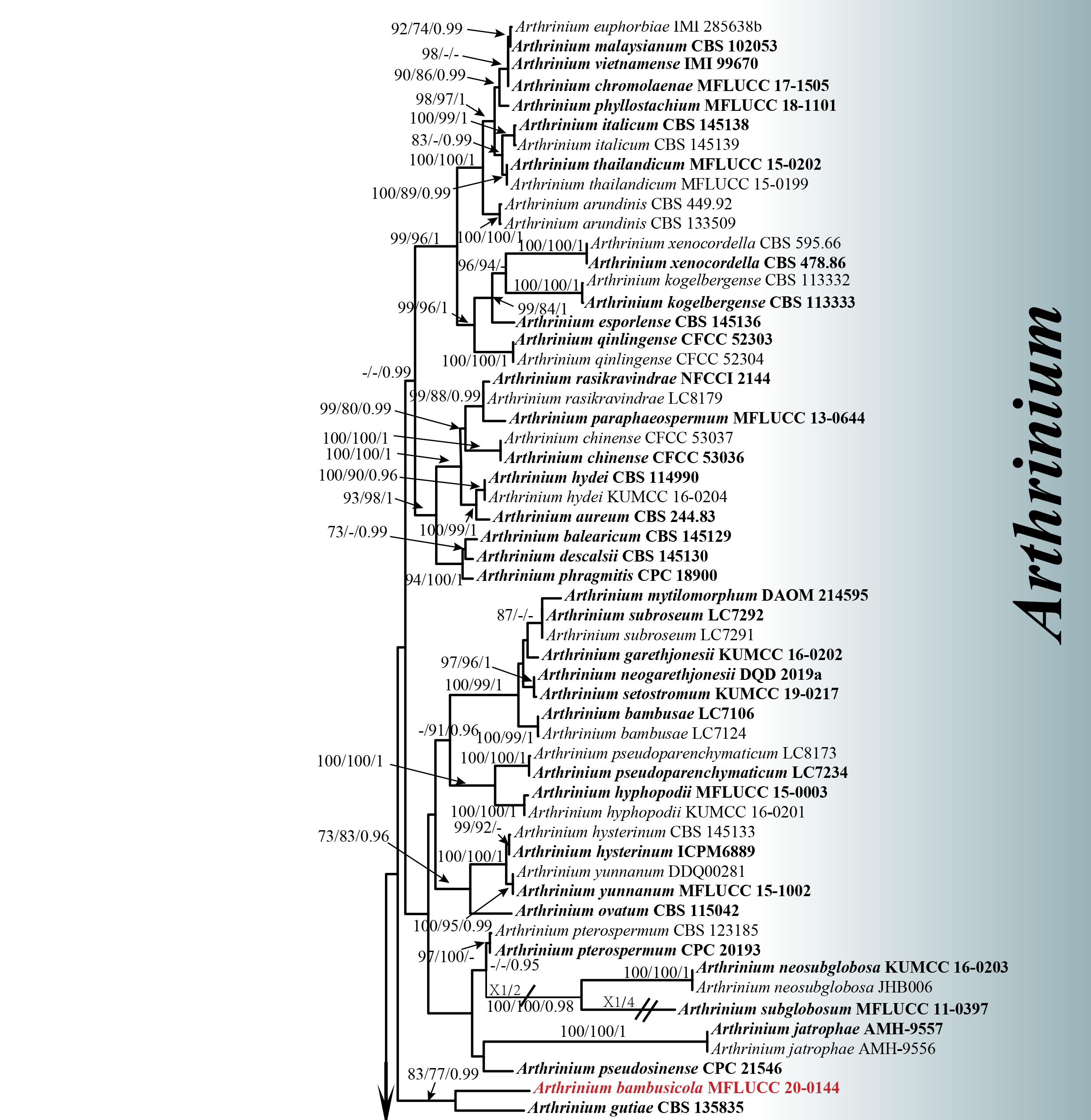 Pensoft Writing Tool