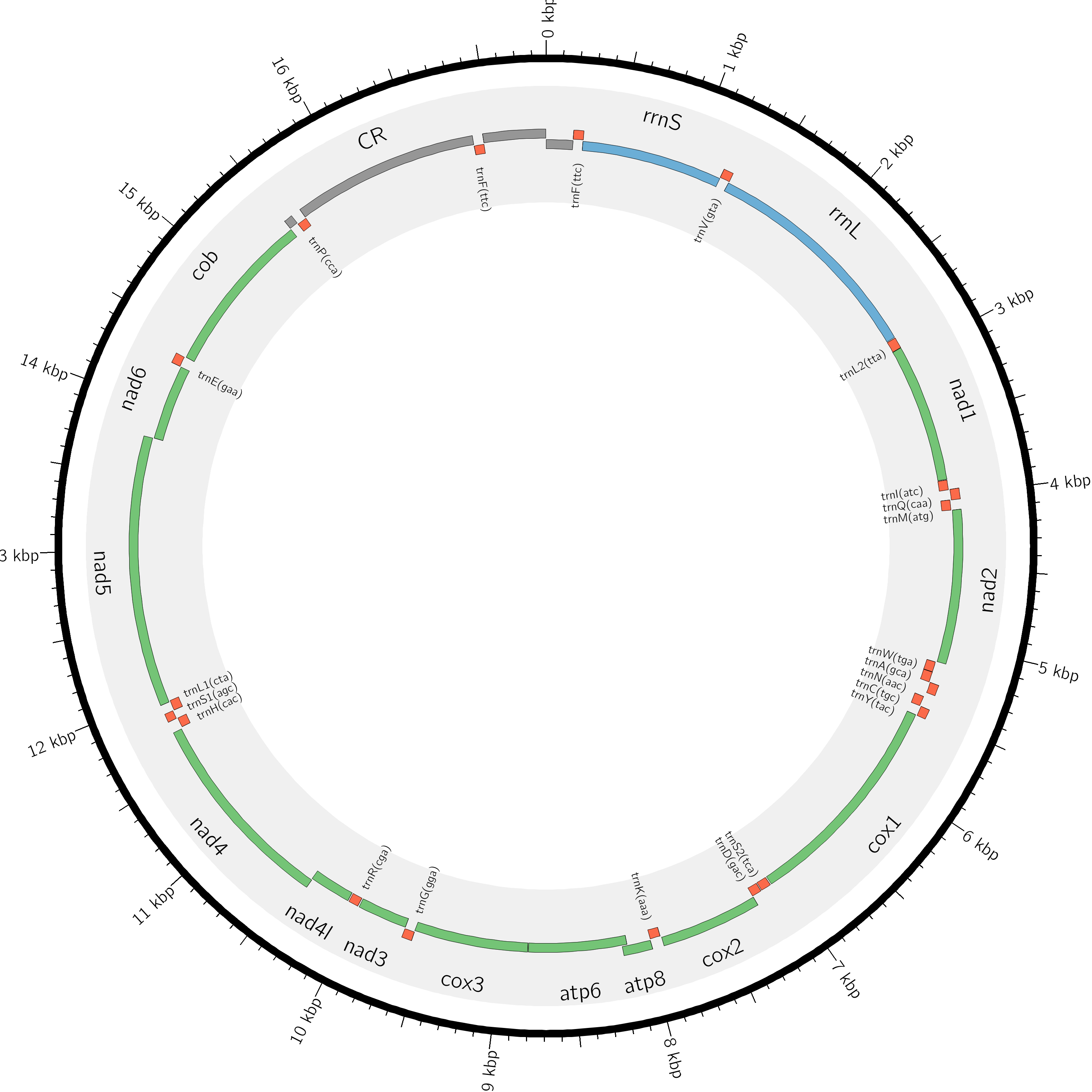Pensoft Writing Tool