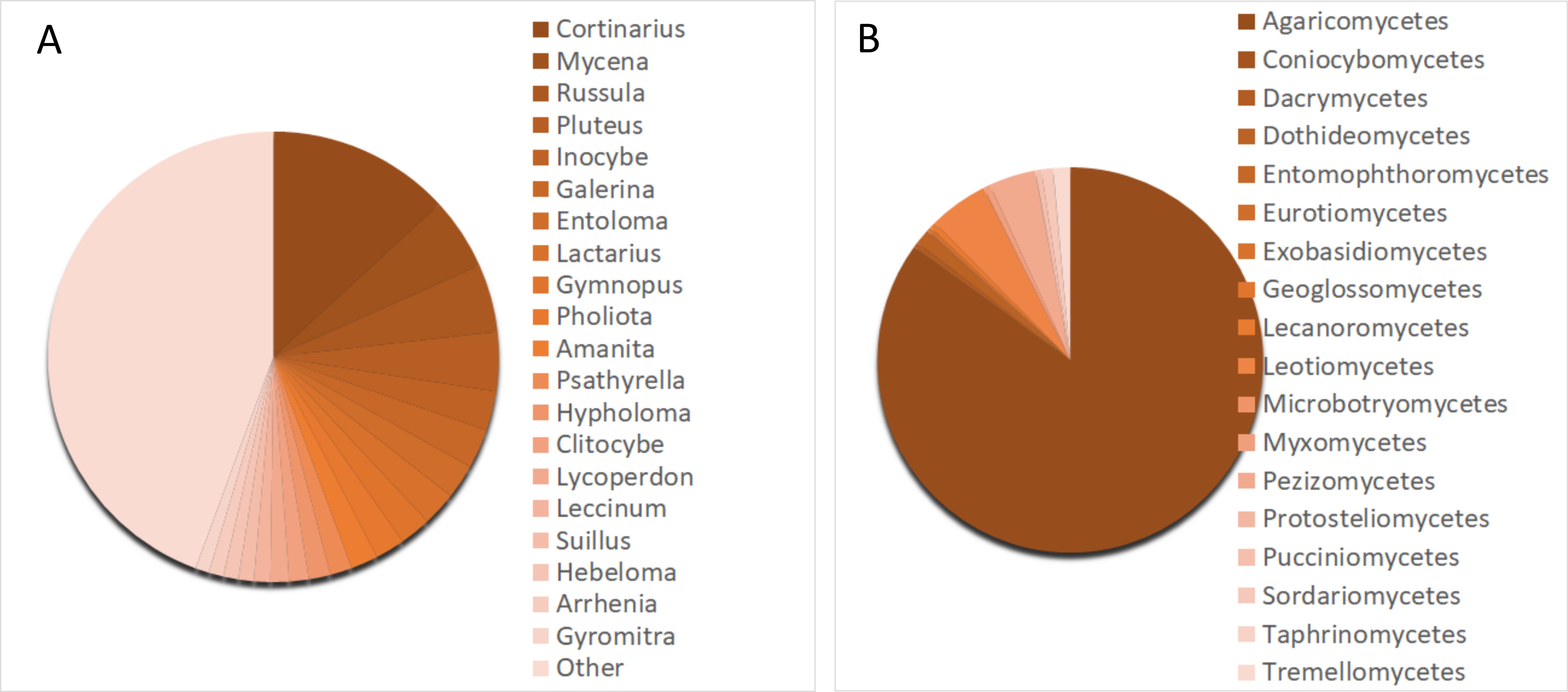 Yugra State University Biological Collection (Khanty-Mansiysk, Russia ...
