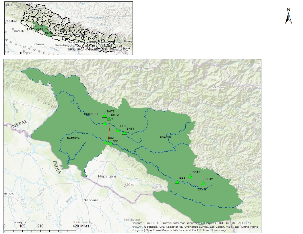 Pensoft Writing Tool