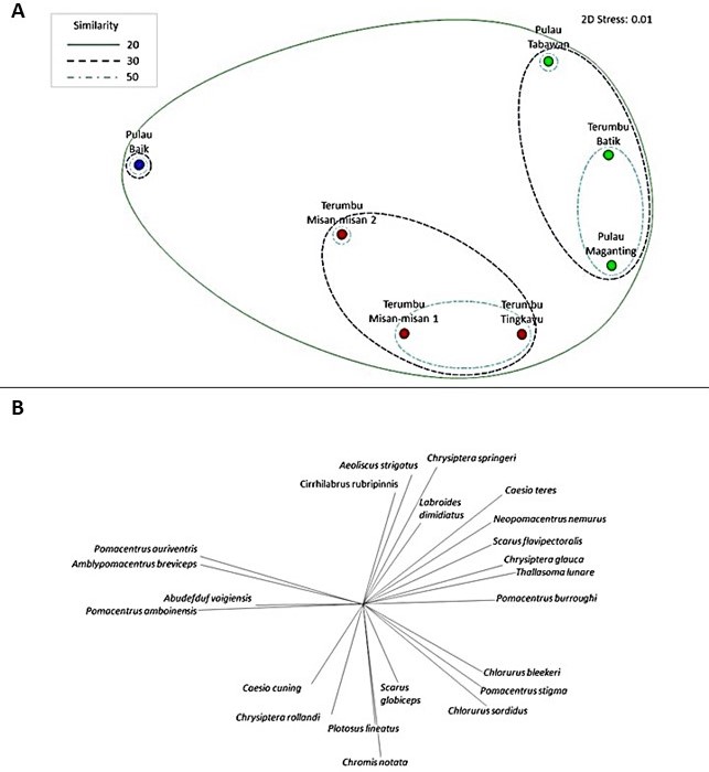 Checklist of coral reef fishes of Darvel Bay, Sabah, Malaysian Coral ...