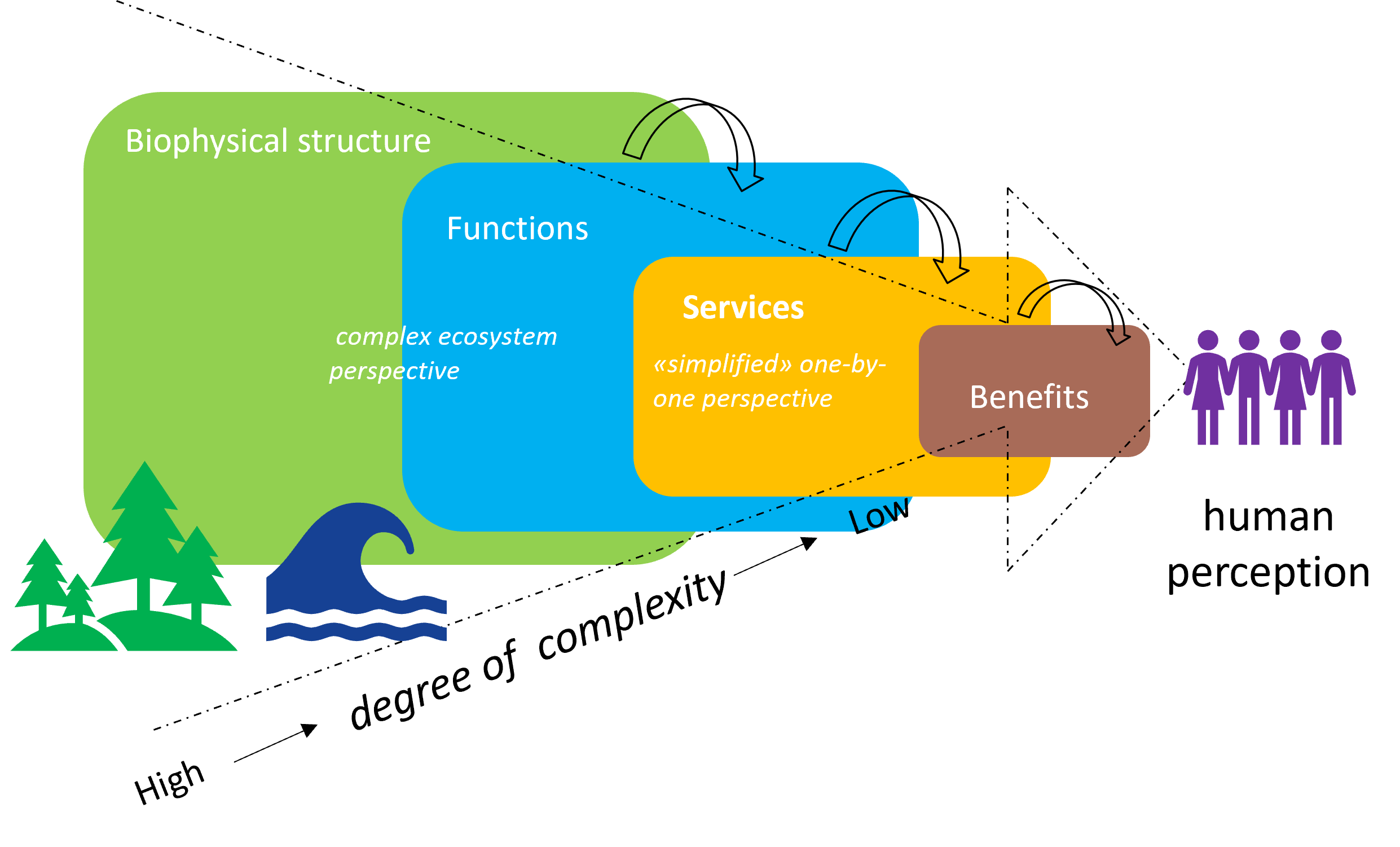 Ecosystem condition underpins the generation of ecosystem services: an ...