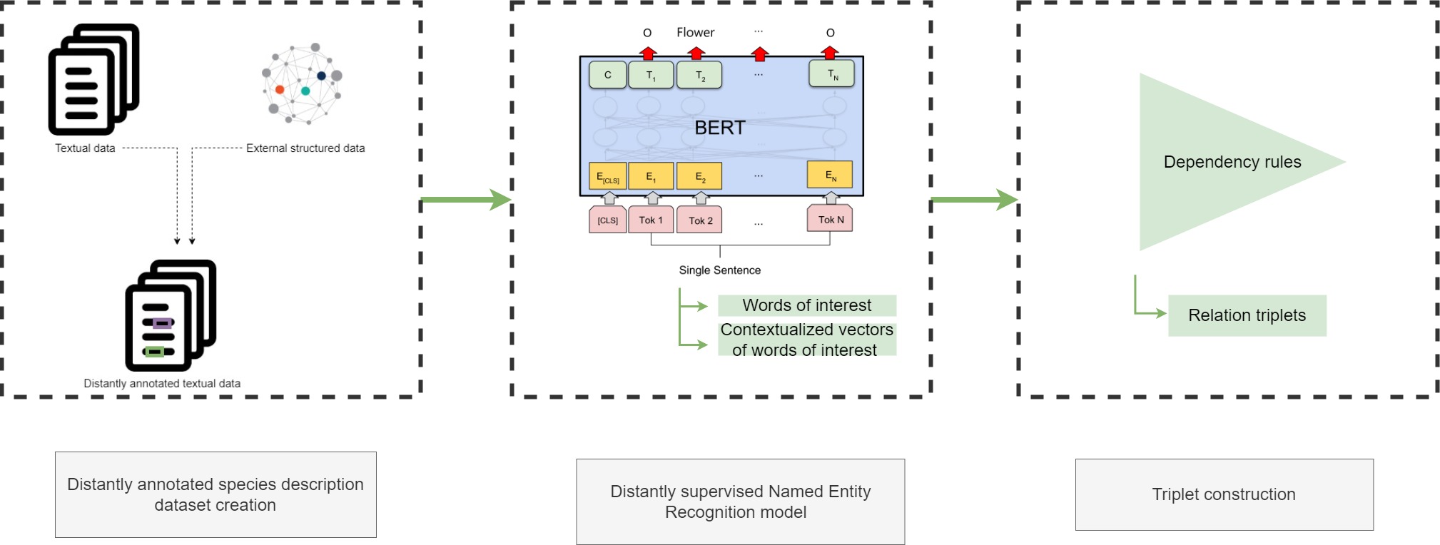 NEARSIDE: Structured kNowledge Extraction frAmework from SpecIes DEscriptions
