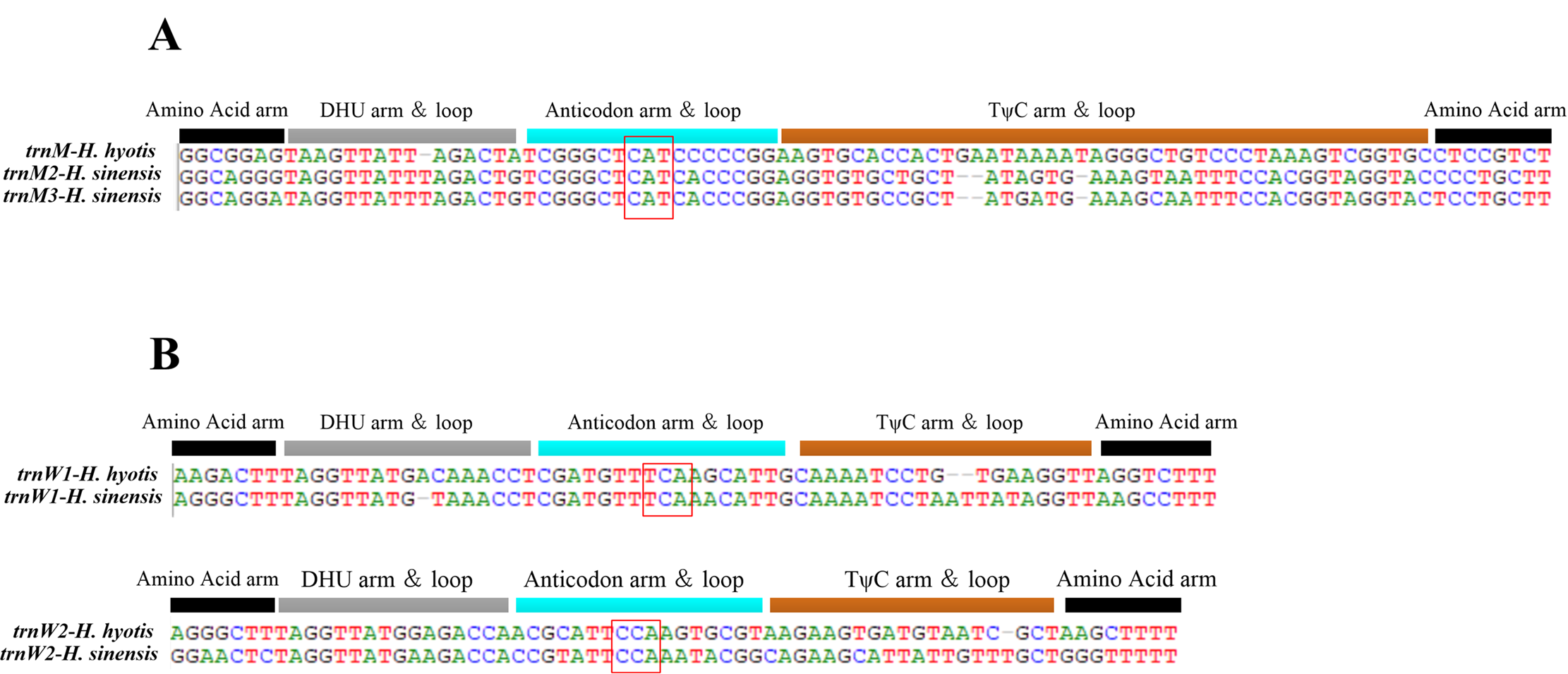 Pensoft Writing Tool