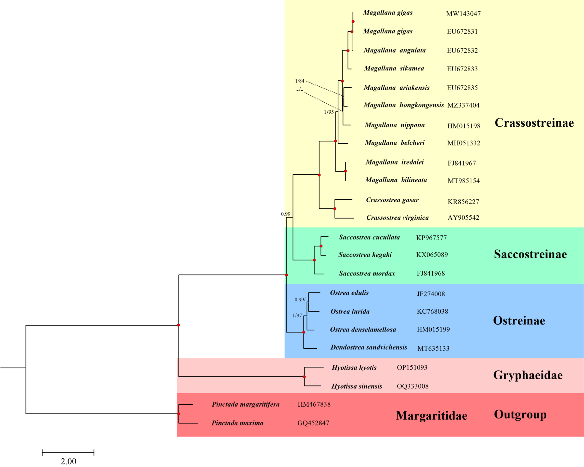 Pensoft Writing Tool