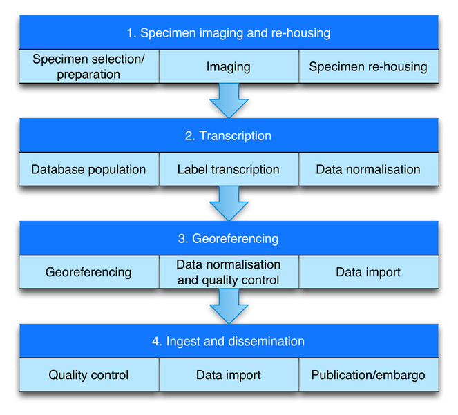 iCollections methodology: workflow, results and lessons learned