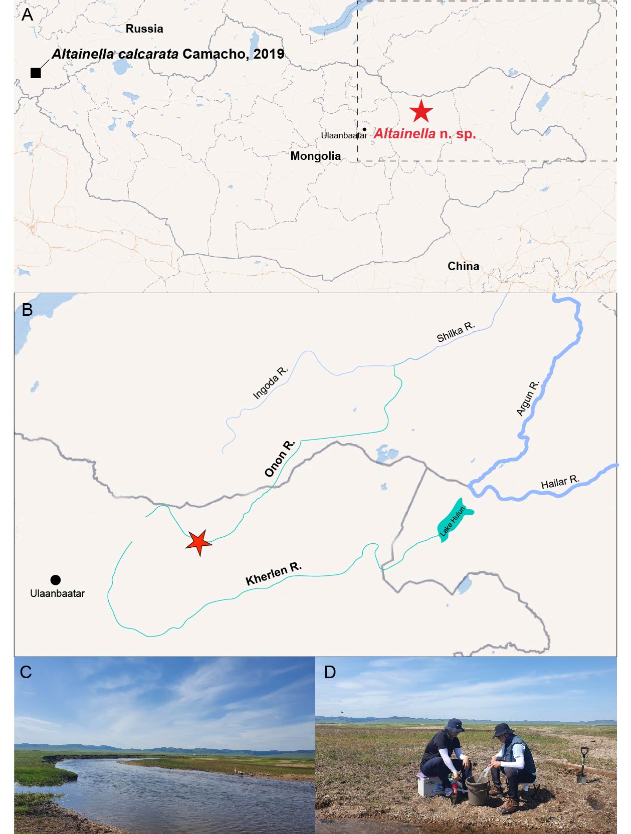 Pensoft Writing Tool