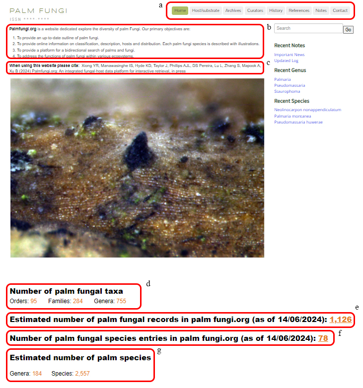 Pensoft Writing Tool