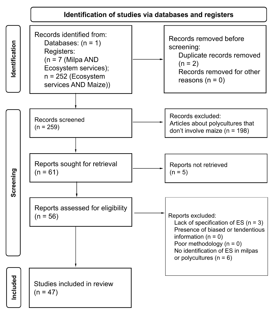 Pensoft Writing Tool