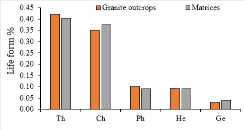 Pensoft Writing Tool