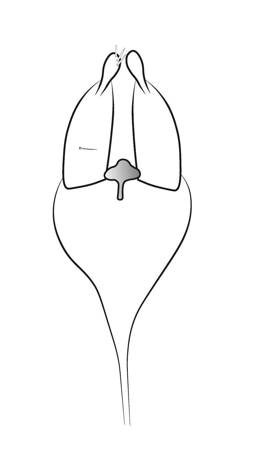 Pensoft Writing Tool