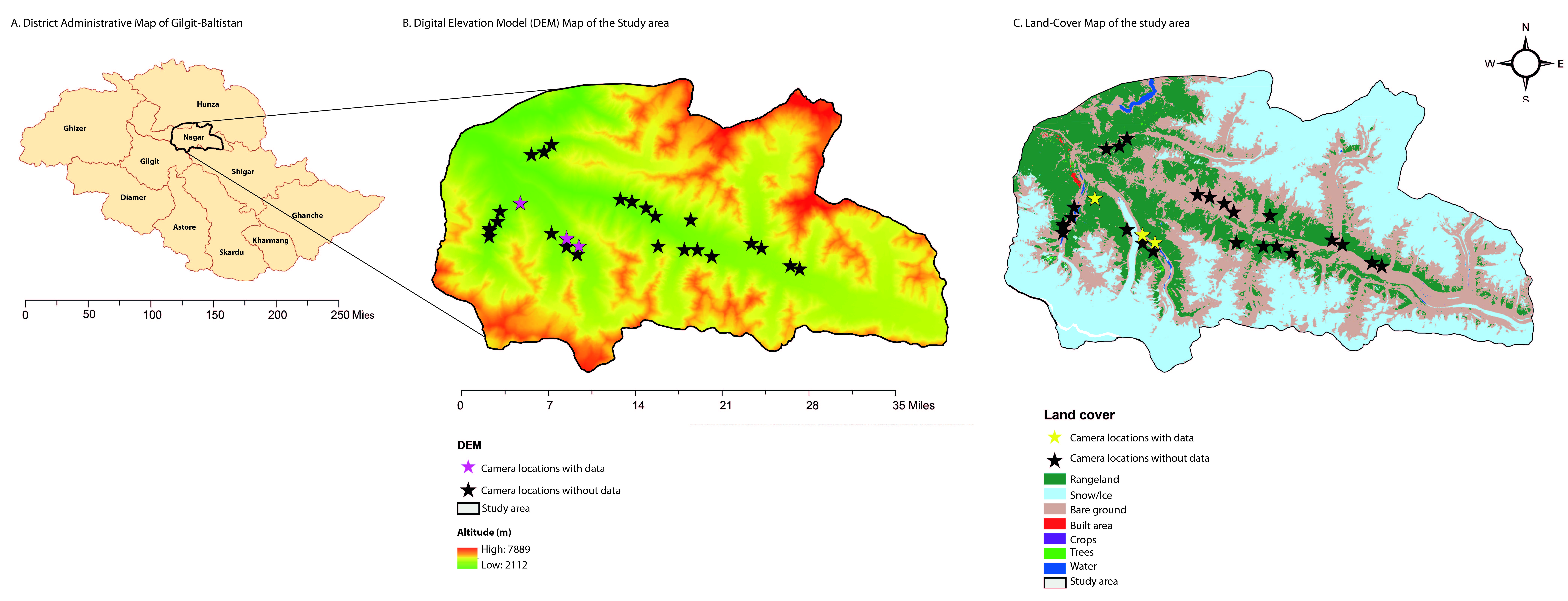 Pensoft Writing Tool