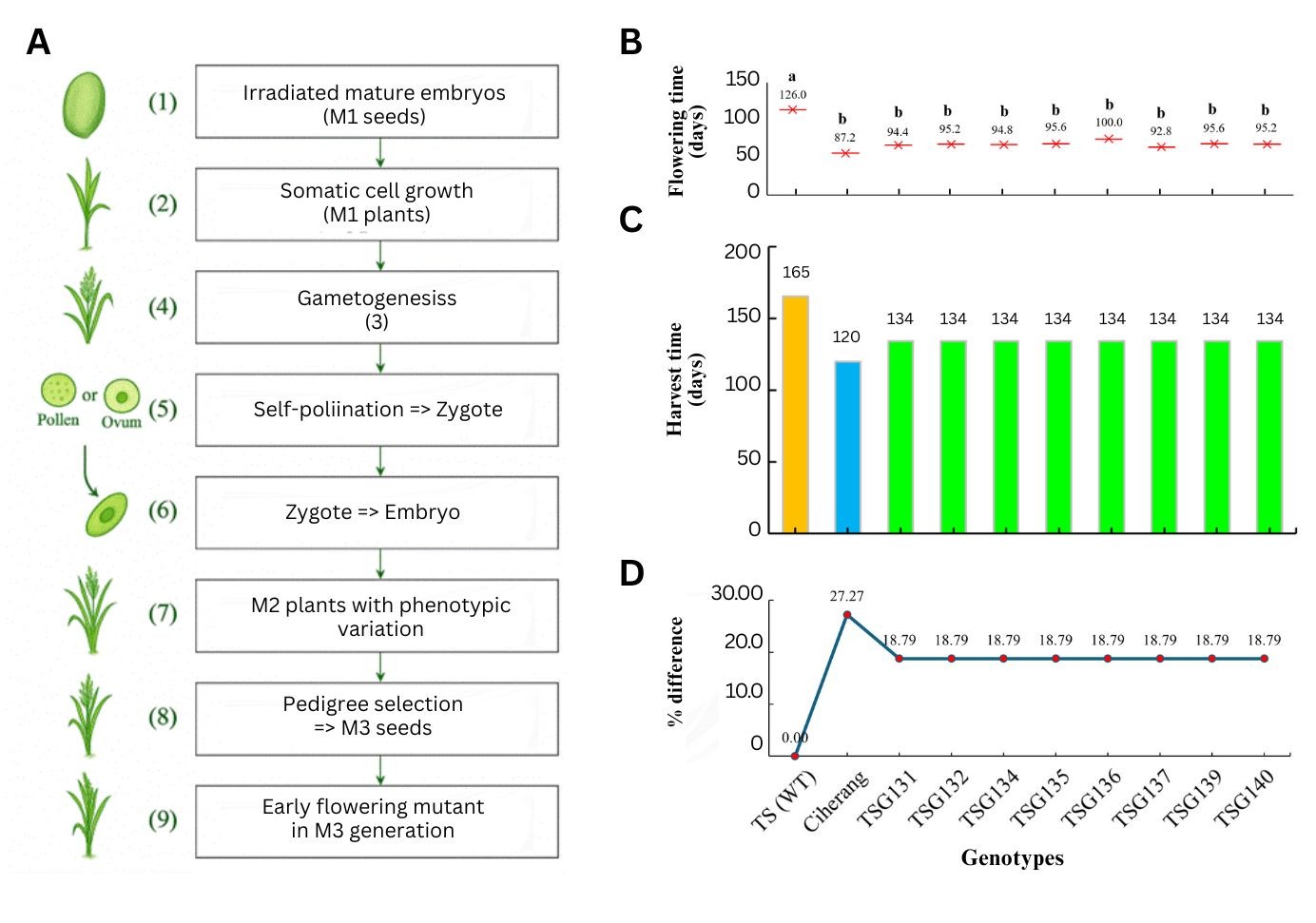 Pensoft Writing Tool