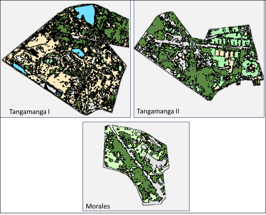 Pensoft Writing Tool