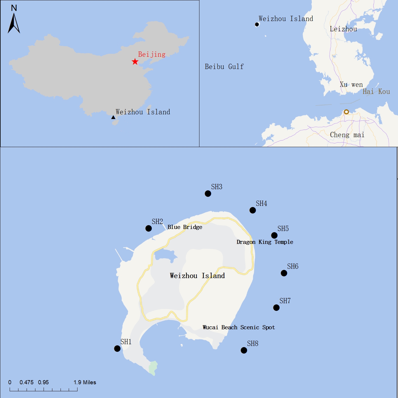 Pensoft Writing Tool