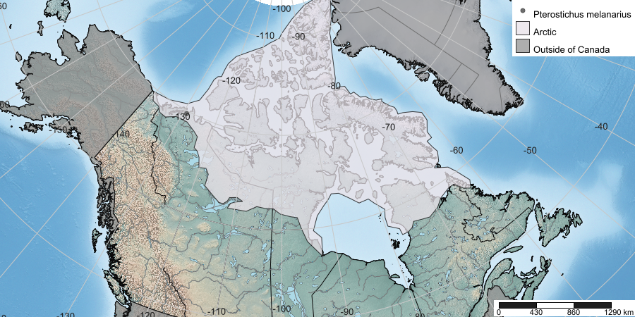 Pensoft Writing Tool